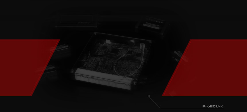 Doctronic - smart solutions - ProECU-K